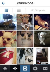 20 Funny Hashtags to Boost Likes - Freemake