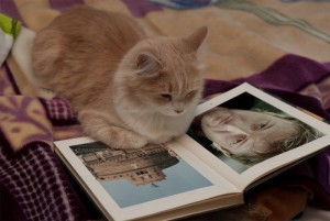 PhotoFunia: Add Effects to Photos Free & Online - Freemake