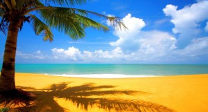 10 Free Funny Screensavers to Customize Your PC - Freemake