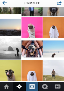 17 Best Funny Instagram Accounts to Follow - Freemake