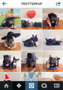 17 Best Funny Instagram Accounts to Follow - Freemake