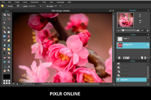 Pixlr Editor: Powerful & Free Online Photo App - Freemake