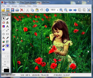 Irfanview Review: Compact Image Editor & Viewer - Freemake