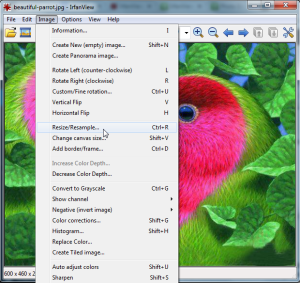 Irfanview Review: Compact Image Editor & Viewer - Freemake