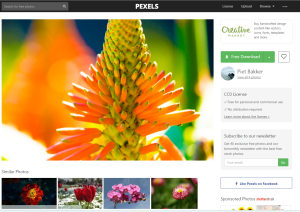 Free Images & Photos - 10 Sites Like Shutterstock - Freemake